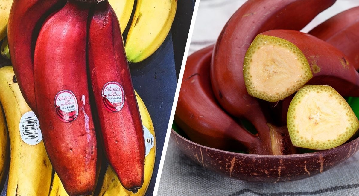 Imaju korist za zdravlje: Kakvog su okusa crvene banane i šta sadrže ...